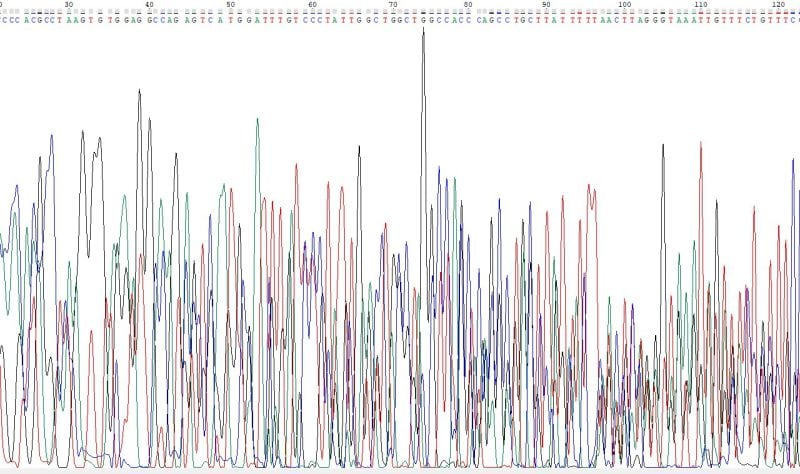 INTip Solid Phase Reversible Immobilization