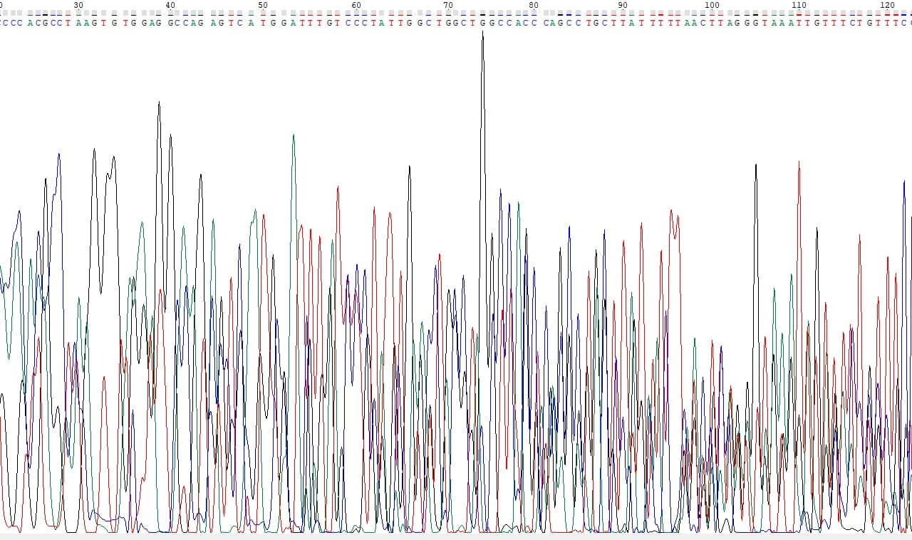INTip Solid Phase Reversible Immobilization