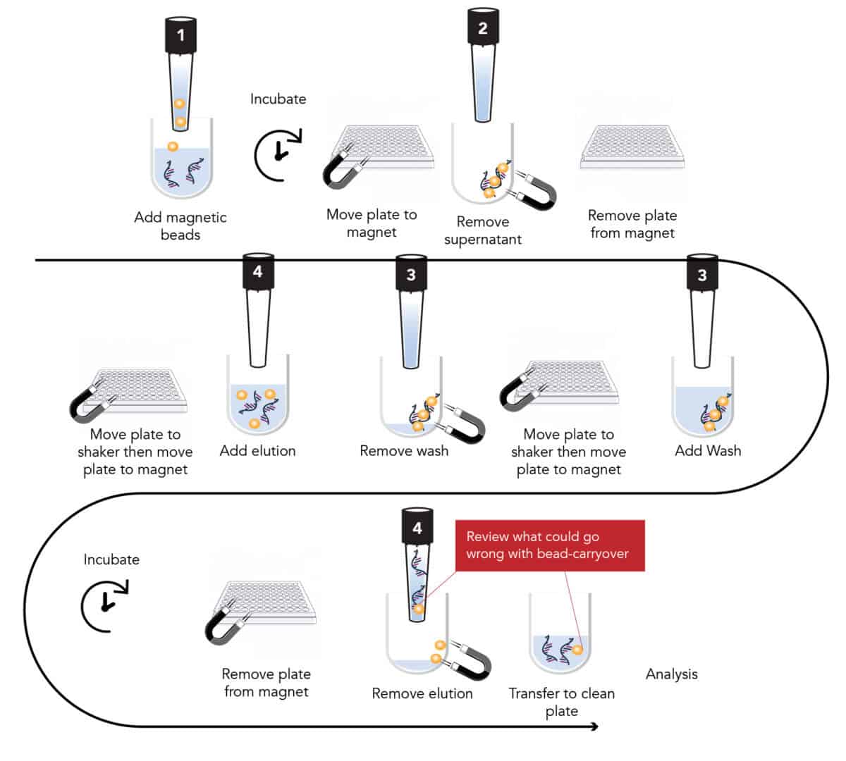 Optimizing Sample Preparation for DNA Extraction: A Guide for Reliable ...